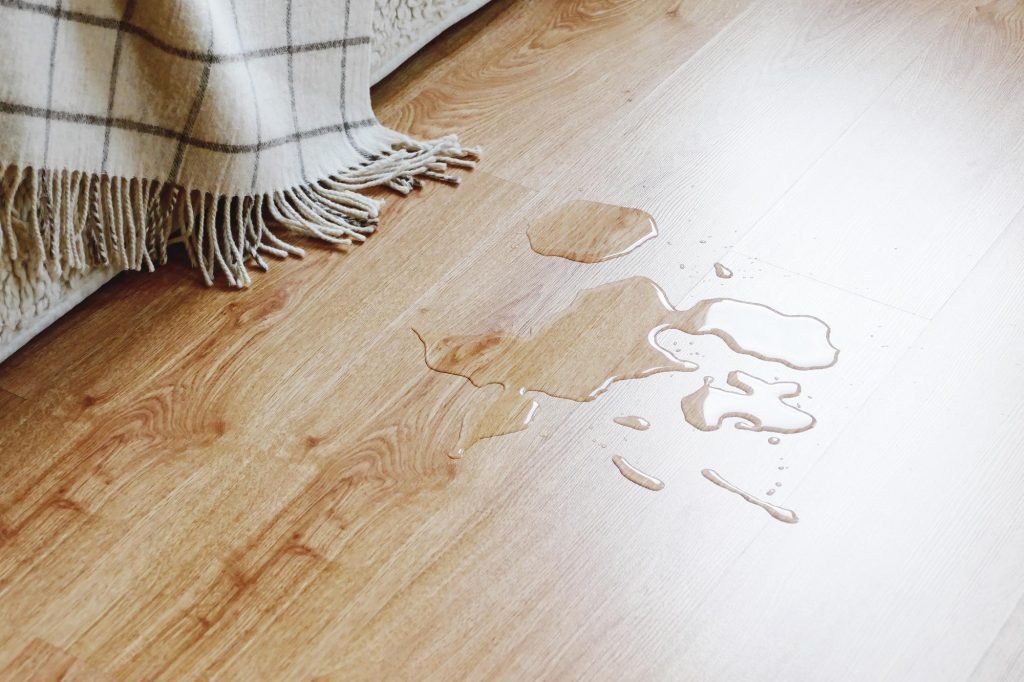 How To Remove Black Urine Stains From Hardwood Floors? [Answered]